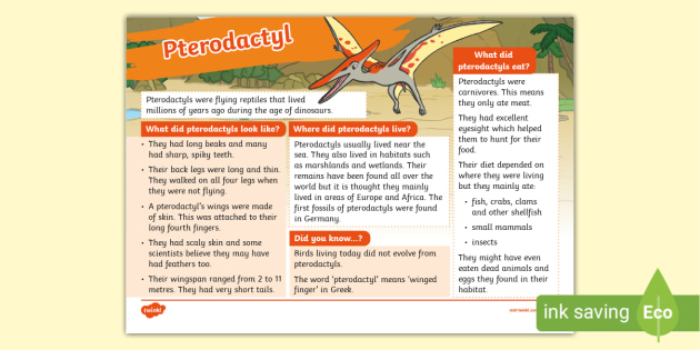 Pterosaur Information For Kids