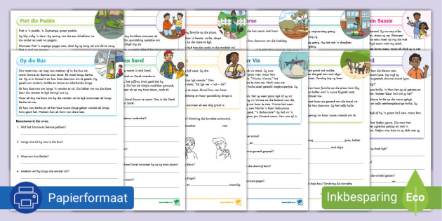 Lees en Begripstoetse vir Grondslagfase (teacher made)