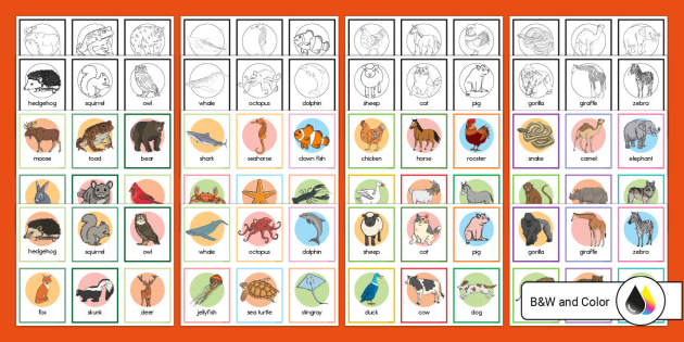 Animal Matching Games Pack (teacher made)
