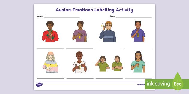 Auslan Emotions Labelling Activity
