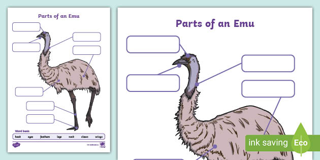 Parts of an Emu - Vocabulary Labelling Activity