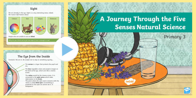 A Journey Through the Senses PowerPoint