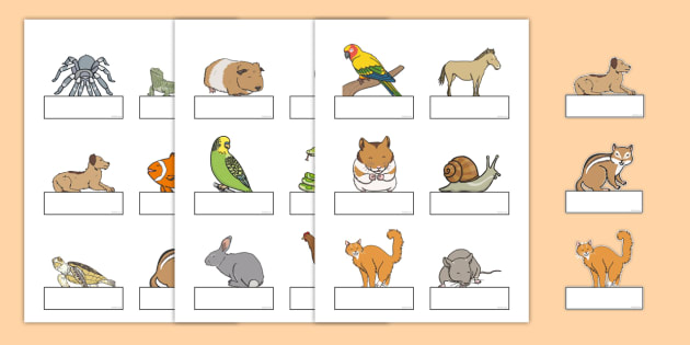 Editable Self-Registration Labels (Pets) (Teacher-Made)