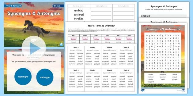 Year 6 Term 3B Week 6 Spelling Pack (teacher made)