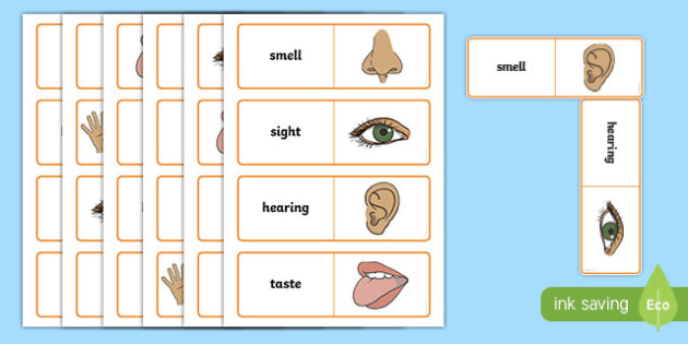 The Five Senses Dominoes | Editable 5 Senses Game