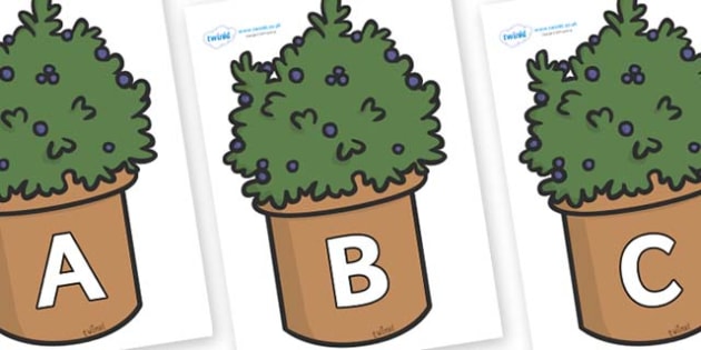 FREE! - A-Z Alphabet on Plants (Teacher-Made)
