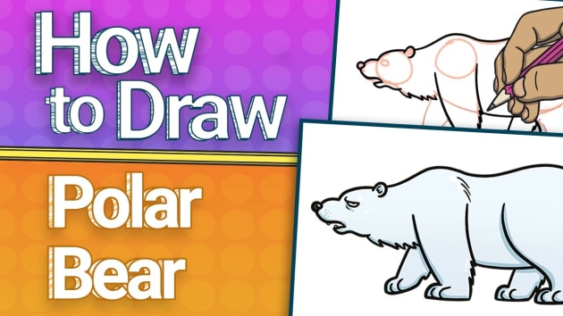 How to Draw a Polar Bear | Twinkl Kid's TV (teacher made)