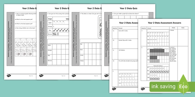 Year 2 Data Assessment Sheet (teacher made)