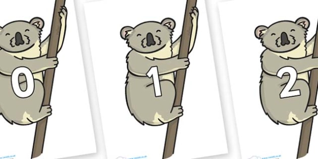 Numbers 0-100 on Koalas