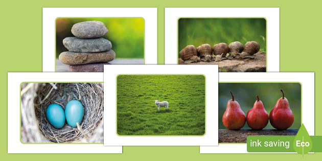 👉 Subitising to 5 Display Photo Pack (Teacher-Made)