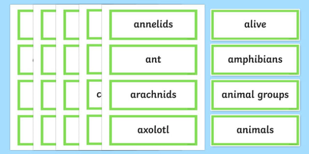Feathers, Fur or Leaves Word Wall Display Cards