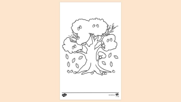 red oak tree coloring page