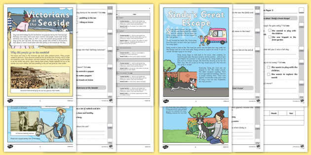 Year 2 Reading Assessment Term 2 Paper 2 (teacher made)