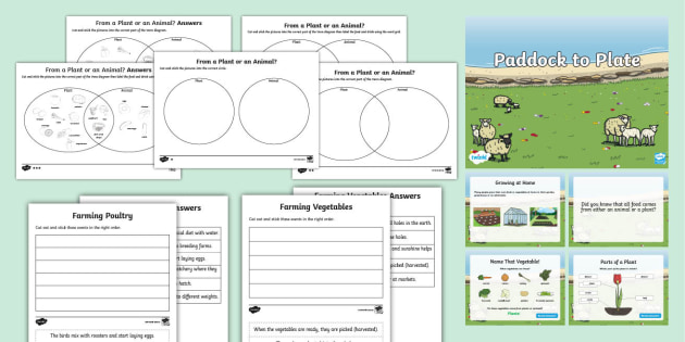 Paddock to Plate PowerPoint Pack (teacher made)