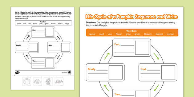 Pumpkin Life Cycle Sequencing and Writing Activity | Twinkl