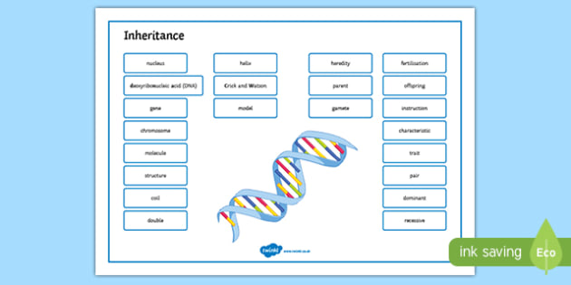 Inheritance Word Mat