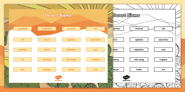 Desert Biome Vocabulary Mat