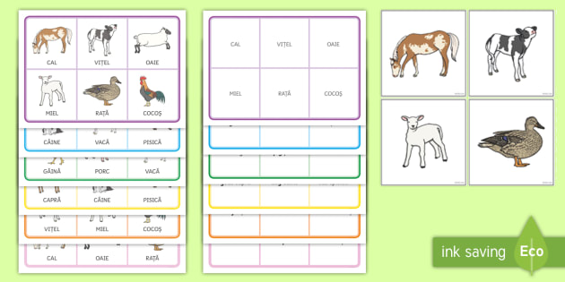 Animale domestice Bingo (teacher made)