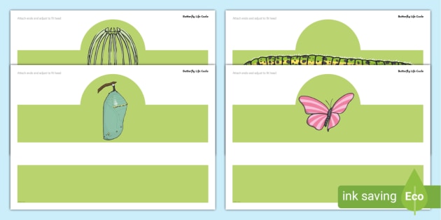 Butterfly Life Cycle Role-Play Headband (teacher made)
