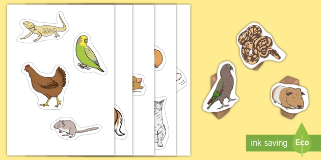 Pets Small World Characters