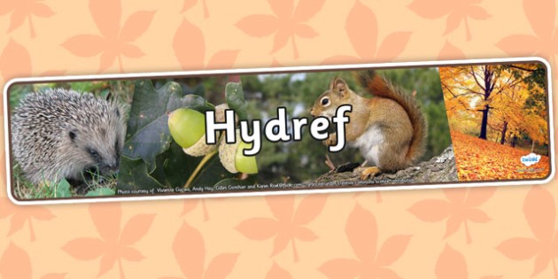 FREE! - Autumn Photo Display Banner Welsh Translation