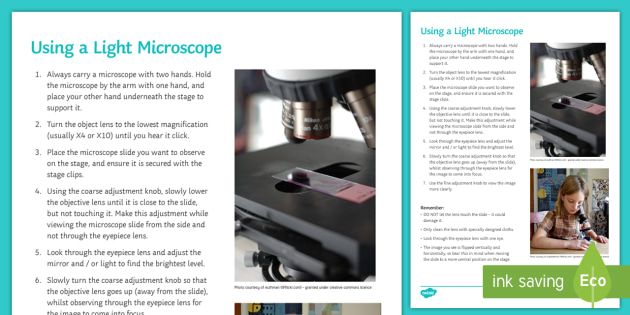 Using a Light Microscope Student Instruction Sheet Print-Out Using a Light Microscope Student Instruction Sheet Print-Out