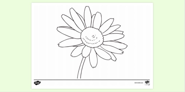 FREE! - Yellow Daisy Flower Colouring Sheet | Colouring Sheets