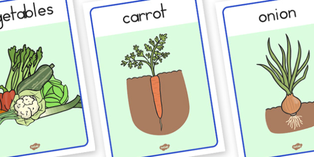 Grow Your Own Display Posters (teacher made)