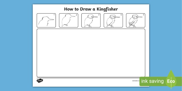FREE! - How to Draw a Kingfisher (teacher made)