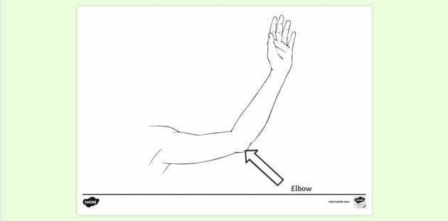 FREE! - Elbow Labelled Colouring Sheet | Colouring Sheets