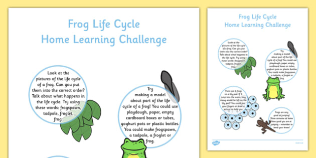 EYFS Frog Life Cycle Home Learning Challenge Sheet Nursery FS1