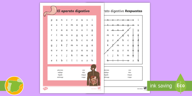 Sopa de letras: El aparato digestivo - 4º de Primaria