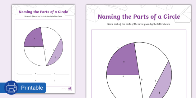Parts Of A Circle Worksheet Worksheet