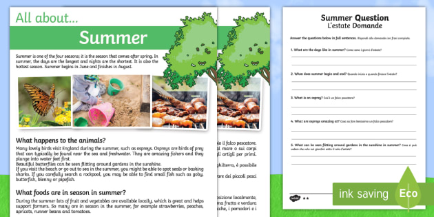 Summer Comprehension Differentiated Worksheet / Worksheets English ...