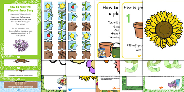 Childminder EYFS Plants and Growth Resource Pack