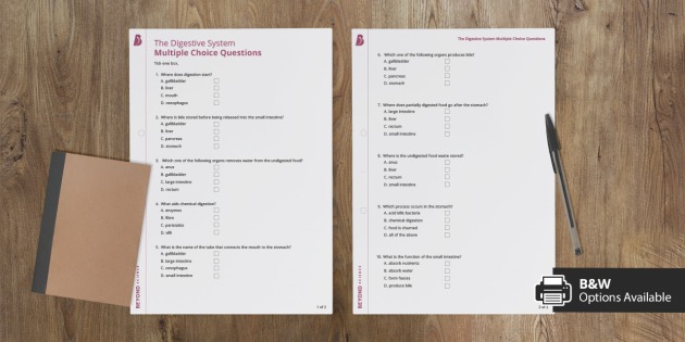 The Digestive System Multiple Choice Questions
