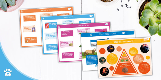 Pet Diet Resource Pack - Veterinary Diets - Twinkl Pets