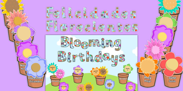 Blooming Birthdays Flower Display Pack Spanish Translation