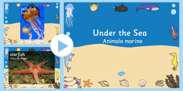 Under The Sea Photo PowerPoint Romanian Translation
