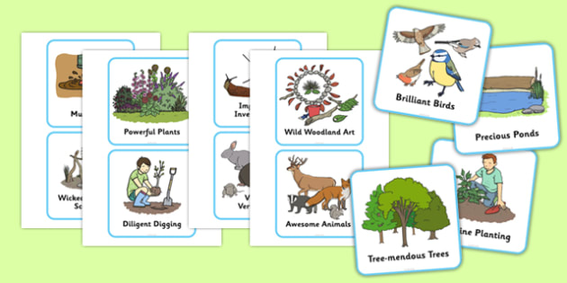 👉 Outdoor Activity Cards - Teacher-made (teacher made)