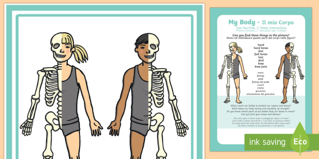 FREE! - All About Me and Ourselves: My Body Can you Find...? Poster and ...