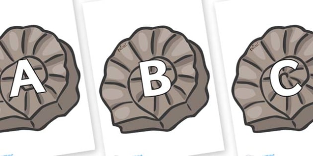 A-Z Alphabet on Fossils (teacher made)