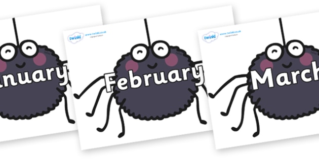 FREE! - Months of the Year on Spiders (teacher made)