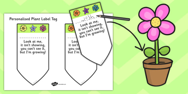 FREE Plant Label Template teacher Made 
