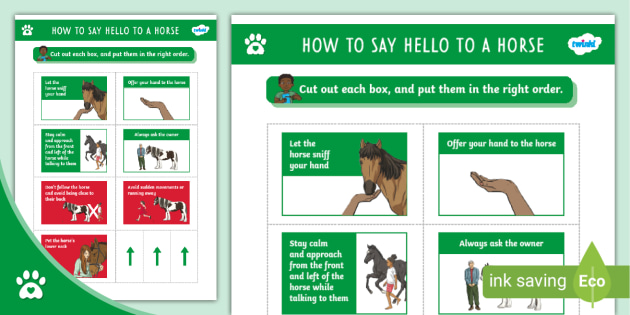 Saying Hello to a Horse - Sequencing Cards - Twinkl Pets