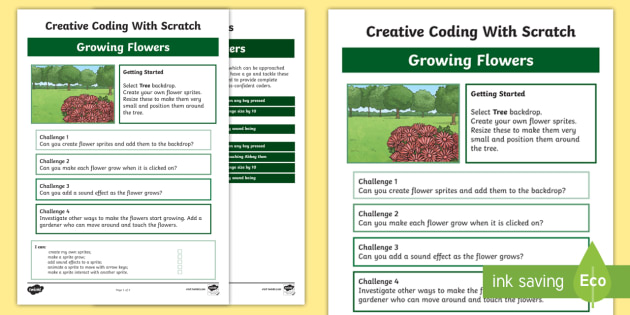 Growing Flowers Scratch Worksheet / Worksheet