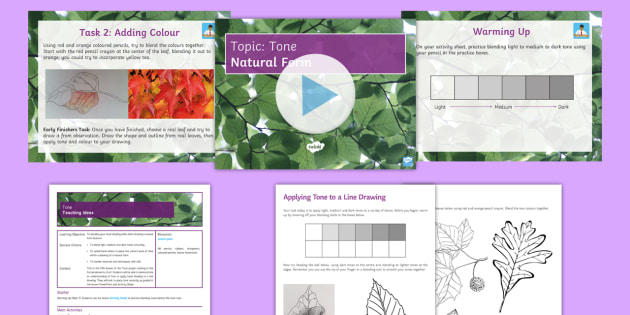 Tone Lesson 5: Natural Forms - Art Resource Pack