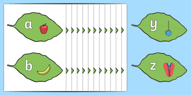 Alphabet on Leaves (teacher made)