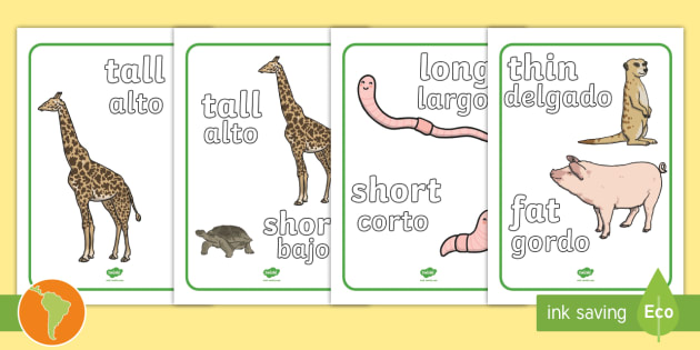 Size Comparison Posters (Word and Picture) English/Spanish - Size ...