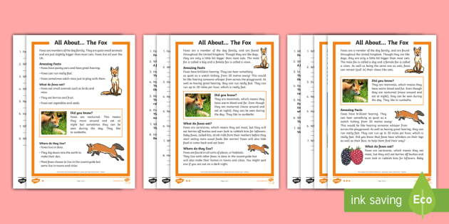 Fox Reading Comprehension (teacher made)